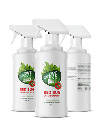 New Page [www.saybyebugs.com]